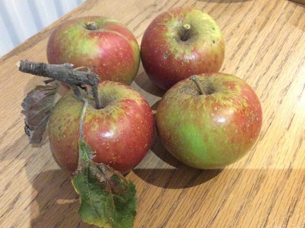 Home | Humshaugh Village Shop